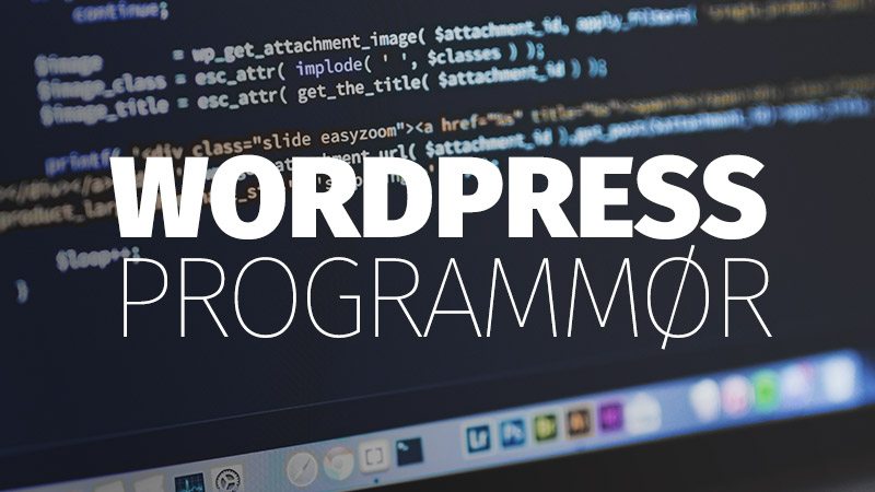 Wordpress programmør med mange års erfaring - klik her!